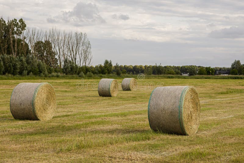 Field of Hay Bales Under a Gloomy Sky Stock Photo - Image of landscape ...