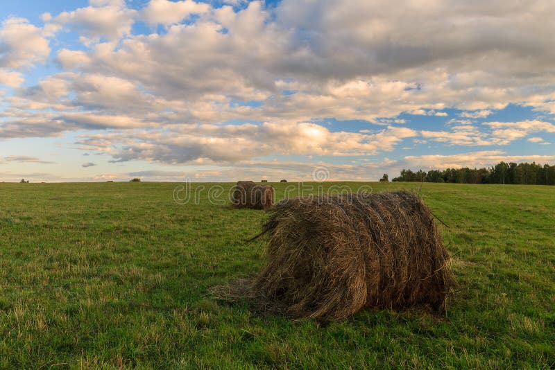 Field with Haystacks at Sunset in Early Autumn Stock Photo - Image of ...