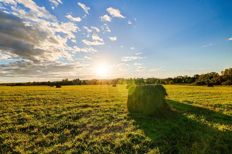 Field with Haystacks at Sunset in Early Autumn Stock Photo - Image of ...