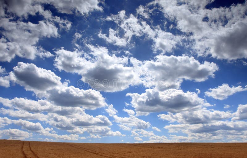 Field with Hewed Corn and Clouds Stock Photo - Image of europe, grow ...