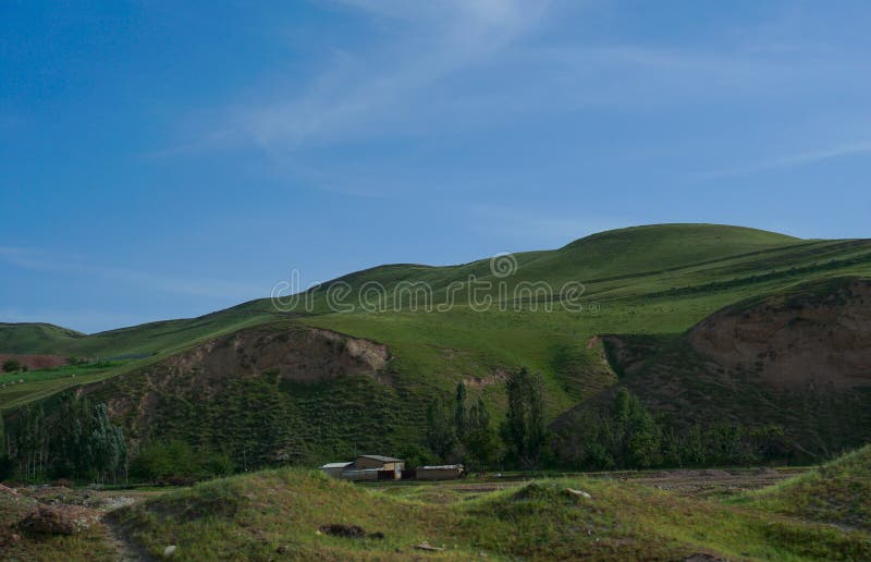 Field hills stock photo. Image of exposure, forest, nature - 221223902