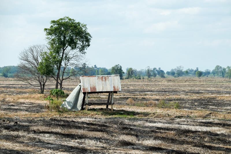 Field Hut Mountain and Sky in Countryside Stock Photo - Image of forest ...