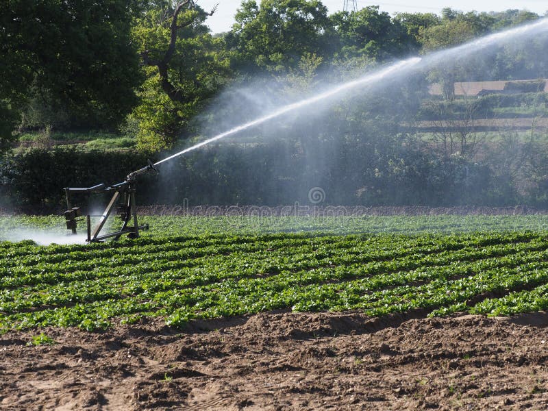 Field Irrigation stock photo. Image of agricultural - 183283960