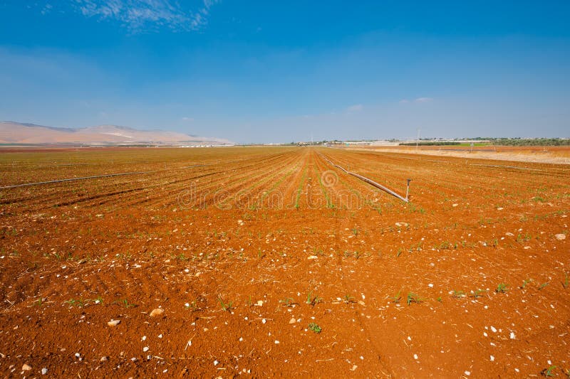 Field in Israel stock image. Image of blue, drop, hill - 27311677