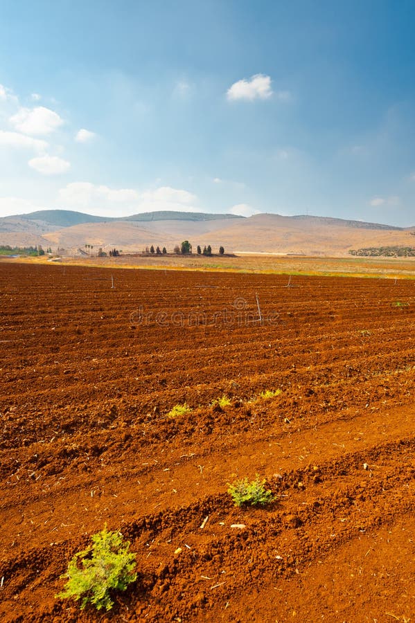 Field in Israel stock photo. Image of arid, hill, landscape - 27378496