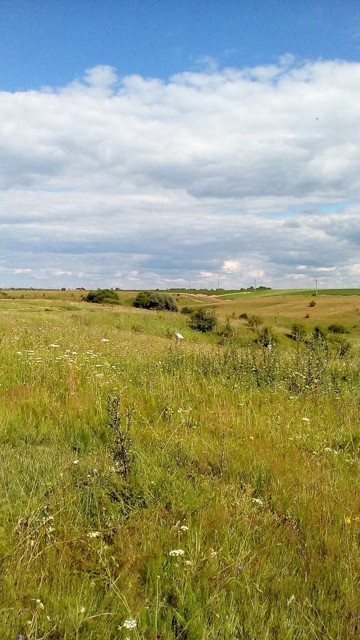 Field stock image. Image of field, july, summer, clouds - 96315729
