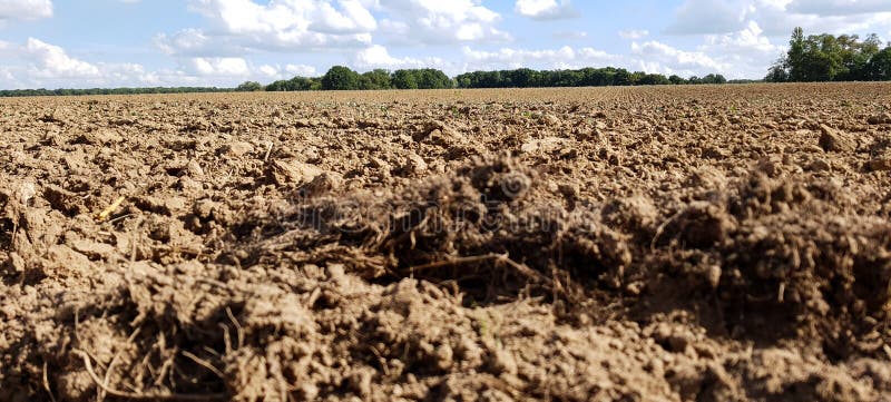 Field in labor stock photo. Image of soil, field, sand - 203735882