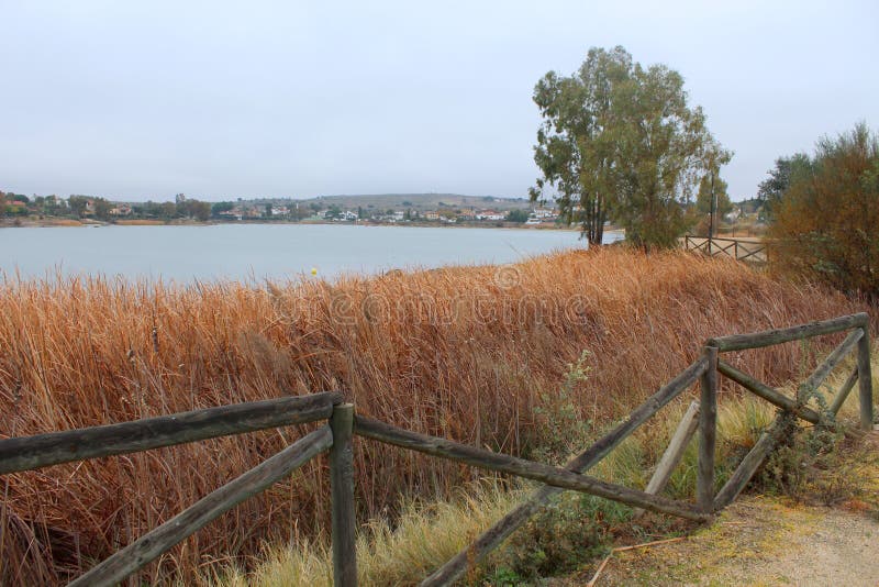 Field lake photo stock image. Image of brown, herb, nice - 135539619