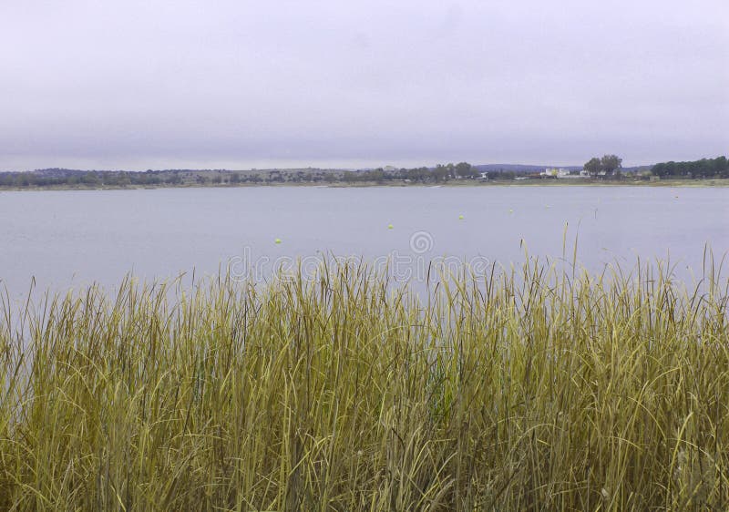 Field lake photo stock photo. Image of nice, detail - 142071114