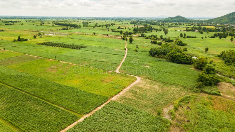 Field land with mountain stock image. Image of farm - 123135291