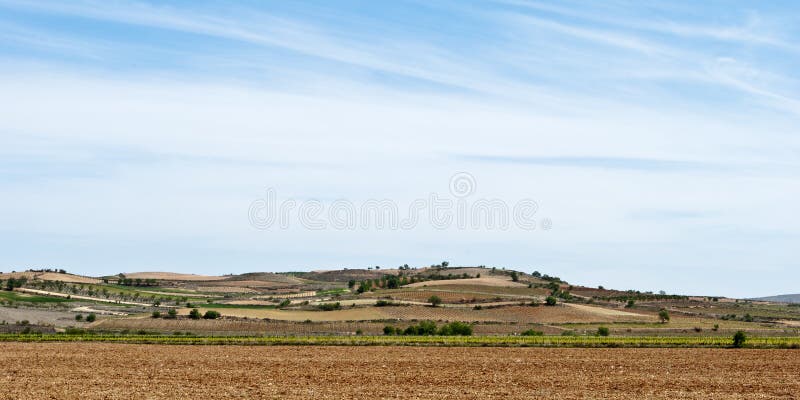 Field landscape stock photo. Image of natural, cloud - 40200796