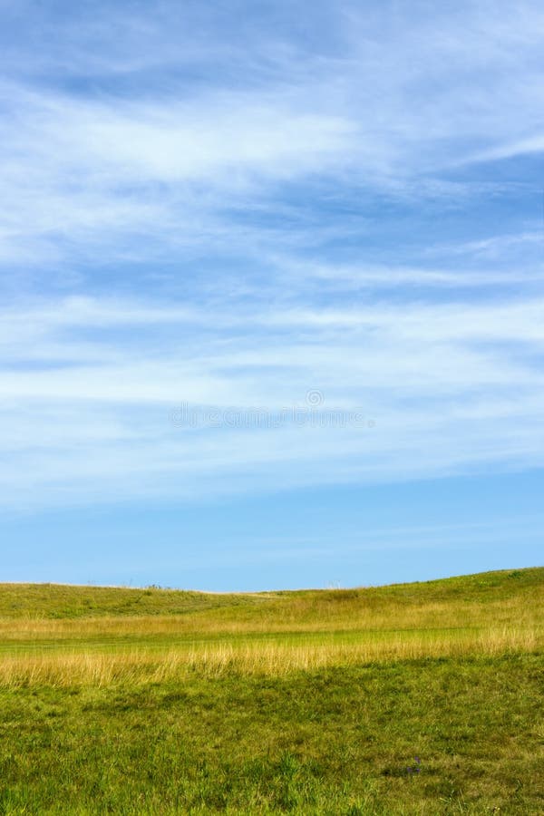 Field landscape stock image. Image of land, blue, vertical - 33370143
