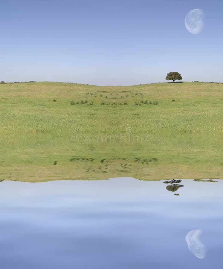 Field Landscape With Moon Picture. Image: 2388866