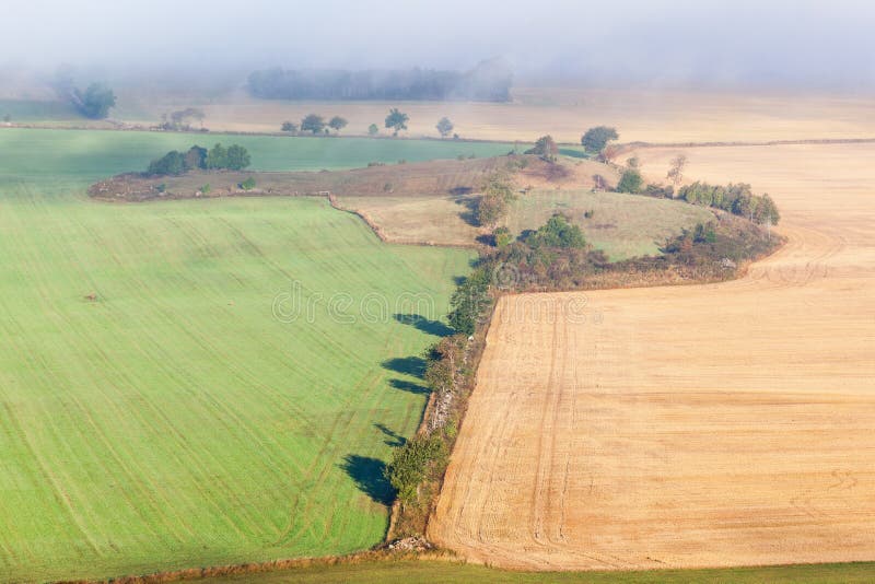 Field landscape stock image. Image of field, morning - 44512577