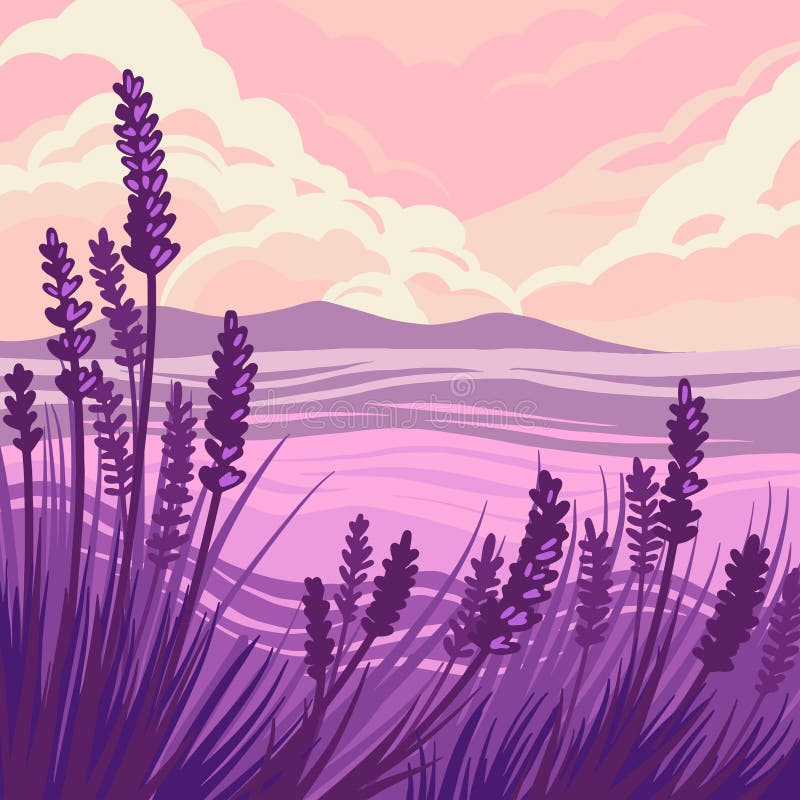 Field Lavanda Vector Illustration. Stock Illustration - Illustration of ...