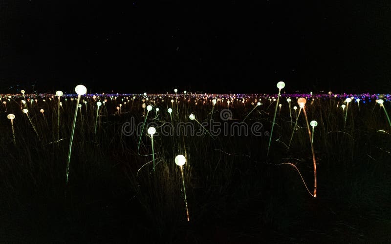 Field of Light at Night Close Up View of Lights in NT Australia Stock ...