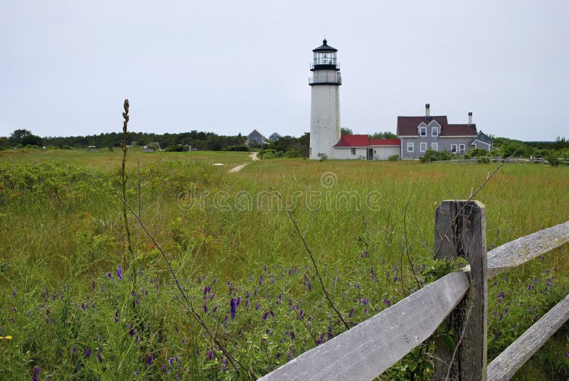 Field and Lighthouse stock photo. Image of wildflowers - 20585790