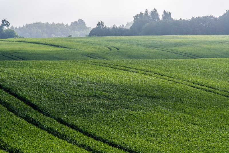 Field lines stock photo. Image of field, landscape, white - 61508344