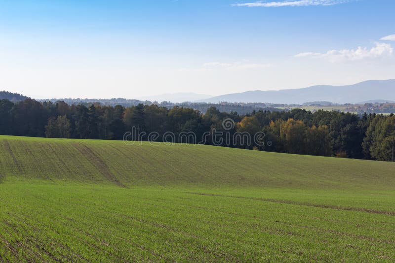 Field, Meadow and Trees, Autumn Czech Landscape Stock Image - Image of ...