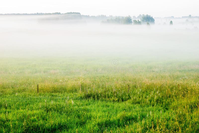 Field in mist stock photo. Image of background, morning - 59966736