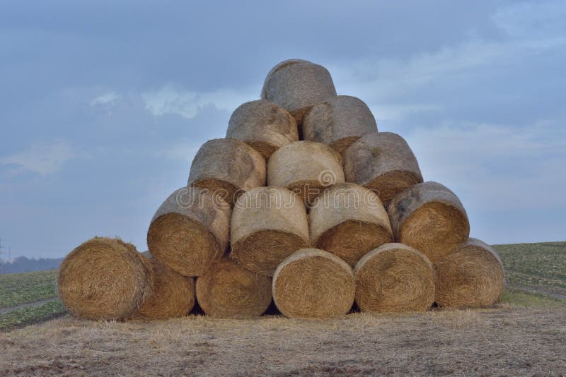 Field stock photo. Image of grain, sheaf, landscape, grass - 38550530