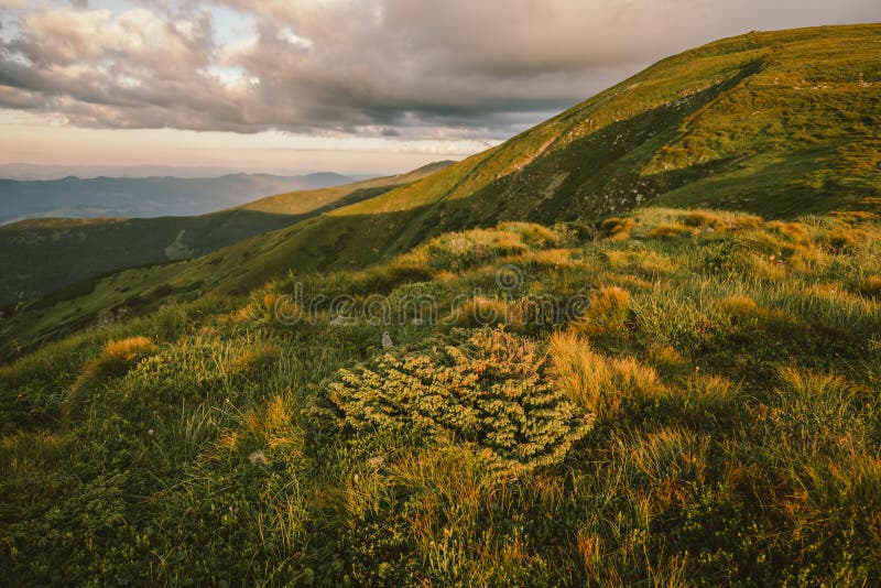 A Field with a Mountain in the Background Stock Photo - Image of gate ...