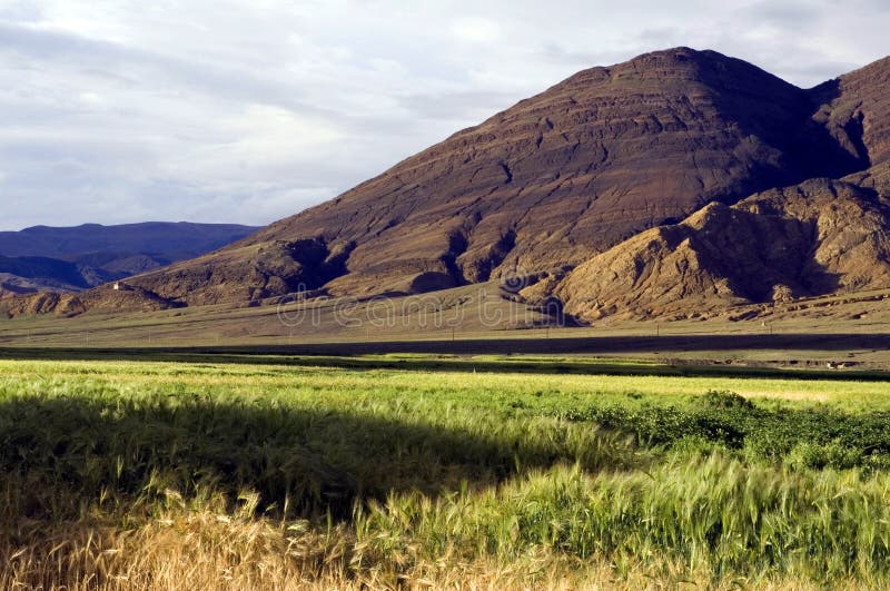 Field in the mountains stock image. Image of backdrop - 7598207