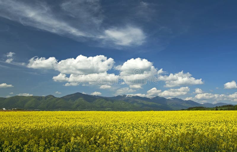 Field and mountains stock image. Image of beautiful, colorful - 9301917