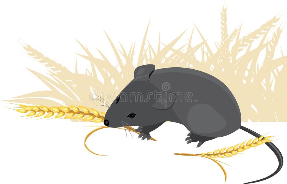 Rat Ears Stock Illustrations – 1,584 Rat Ears Stock Illustrations ...