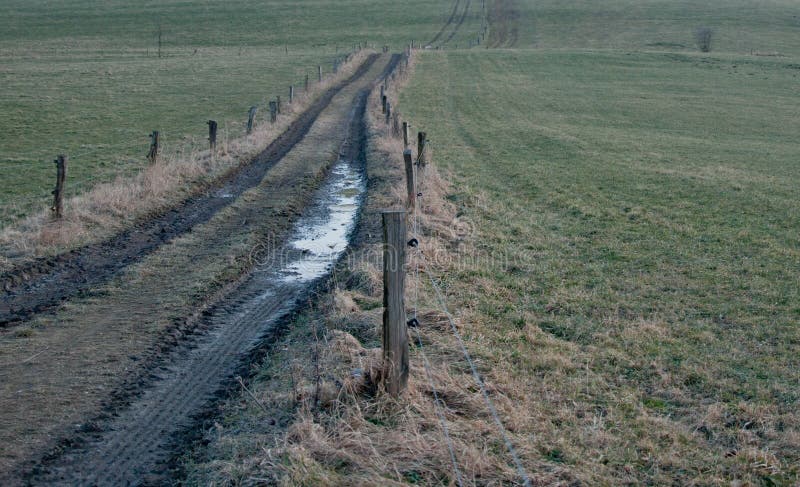 Field stock photo. Image of black, water, twqo, wood - 50525396