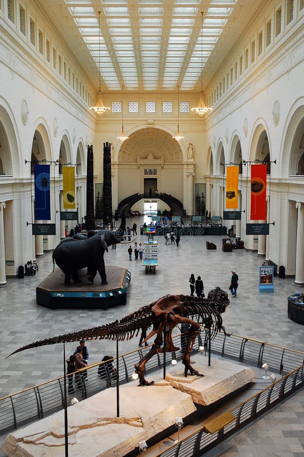 The Field Museum editorial stock photo. Image of illinois - 71057278