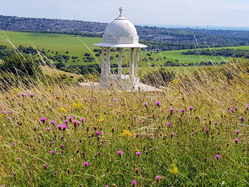 Field stock photo. Image of grass, field, county, flowers - 122210720