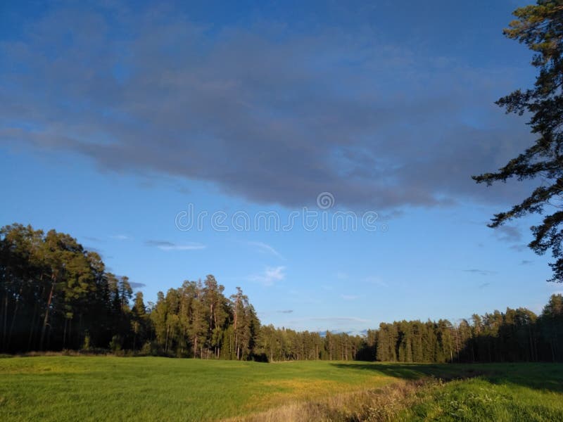 A Field Near the Forest in the Rays of the Setting Sun Stock Image ...