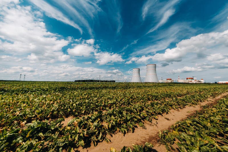Field Near the Nuclear Power Plant in the Ostrovetsky District.Field ...