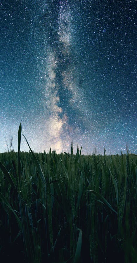 Corn Field at Night, Night in Fall, Starry Sky Stock Photo - Image of ...