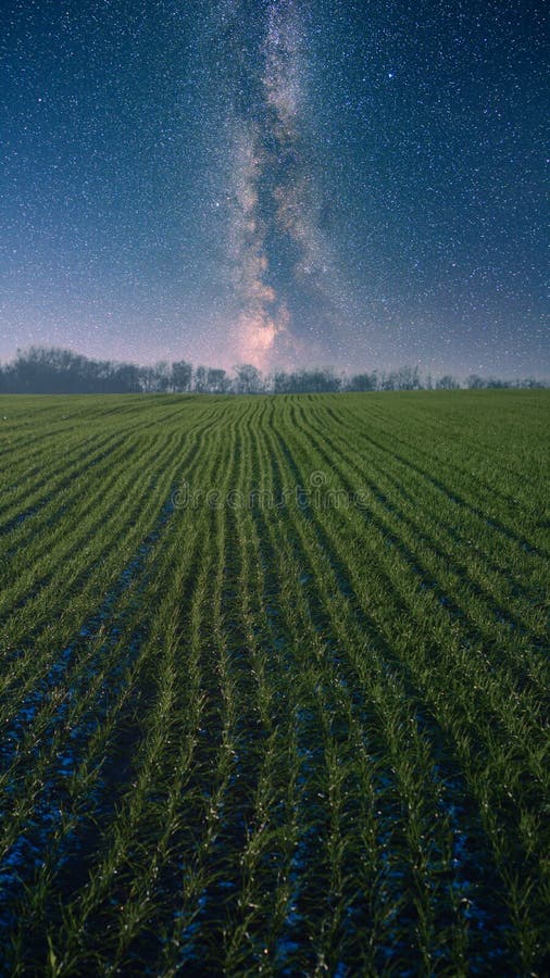 Field at night stock photo. Image of blue, green, nature - 211833110