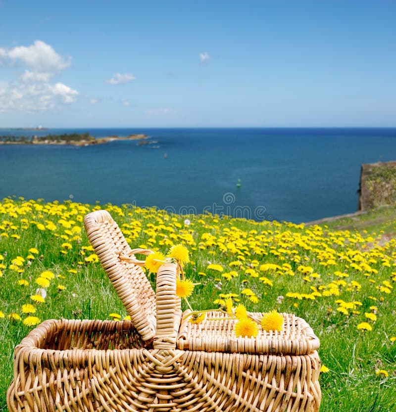 Field with ocean view stock photo. Image of sturdy, flowers - 21234678