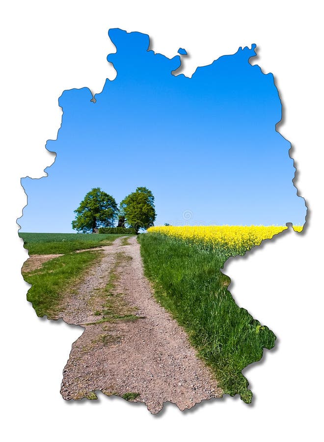 Oilseed Stock Illustrations – 1,274 Oilseed Stock Illustrations ...