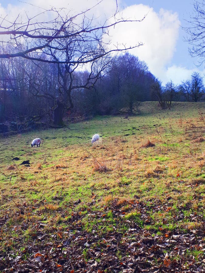 A Winters Day in Padiham Memorial Park in Lancashire Stock Image ...