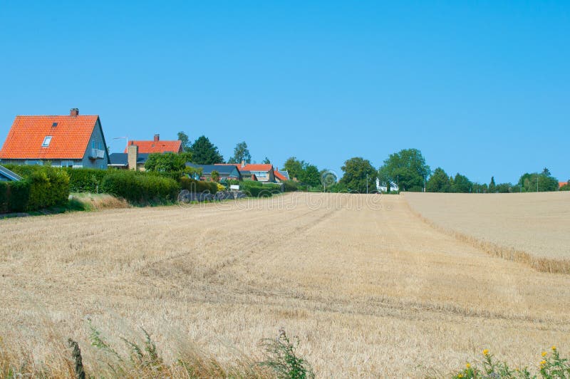 Field Outside of Vordingborg in Denmark Stock Image - Image of nature ...