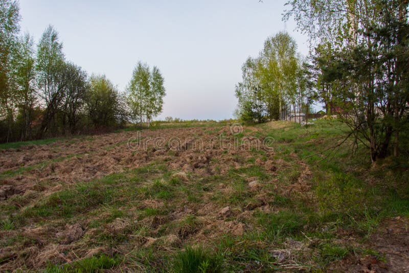 Field stock image. Image of trees, garden, sunset, dark - 93096503
