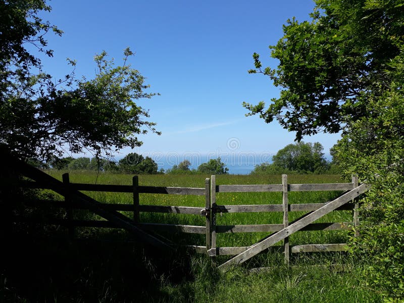 Field overlooking the sea stock photo. Image of pasture - 232316498