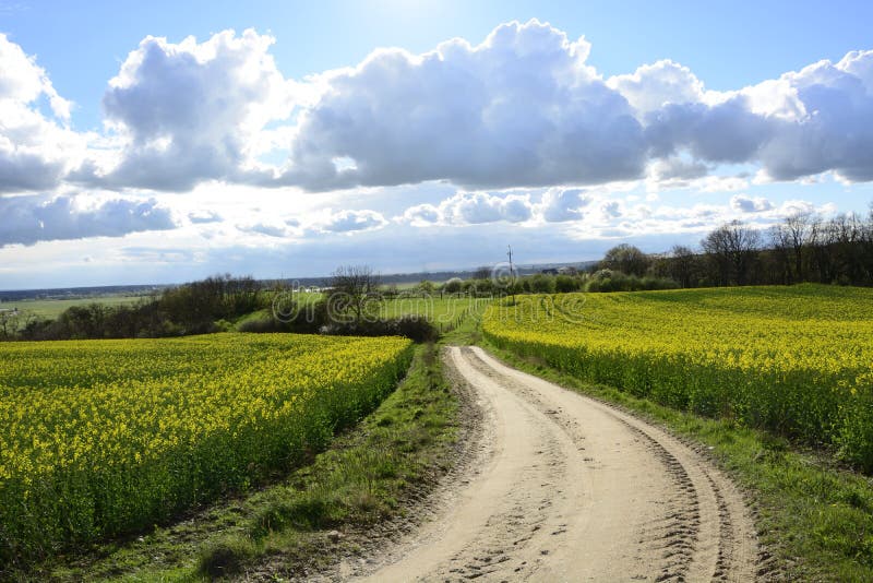 Field painted the color of stock image. Image of rural - 40911779