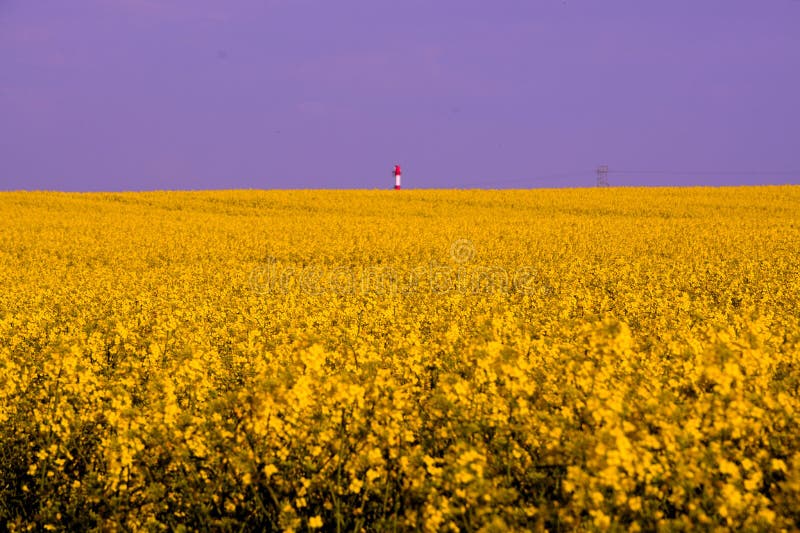 Field painted the color of stock image. Image of grass - 40913545