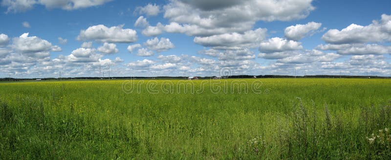 Field panorama stock image. Image of panorama, scenery - 16828111