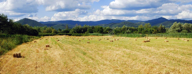 Field panorama stock image. Image of field, bales, landscape - 25811197