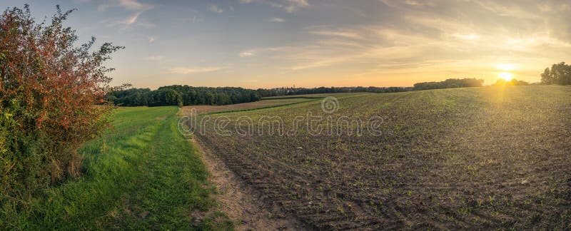 Field Panorama with a Beatiful Sunset. Stock Photo - Image of beam ...