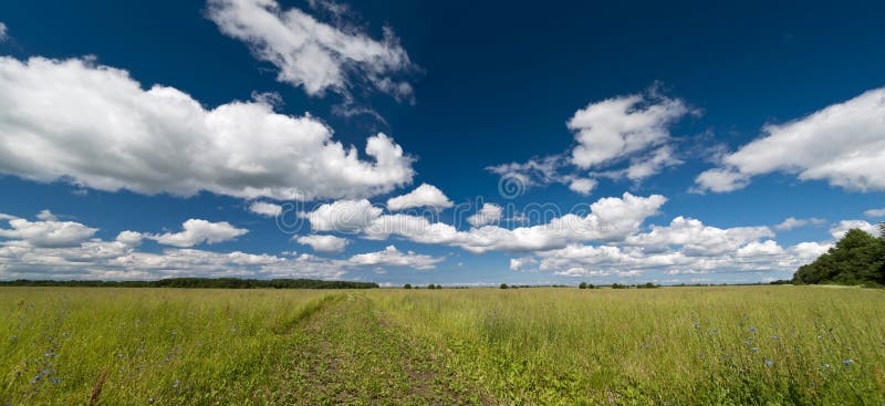 Field panorama stock photo. Image of agriculture, farm - 34422986