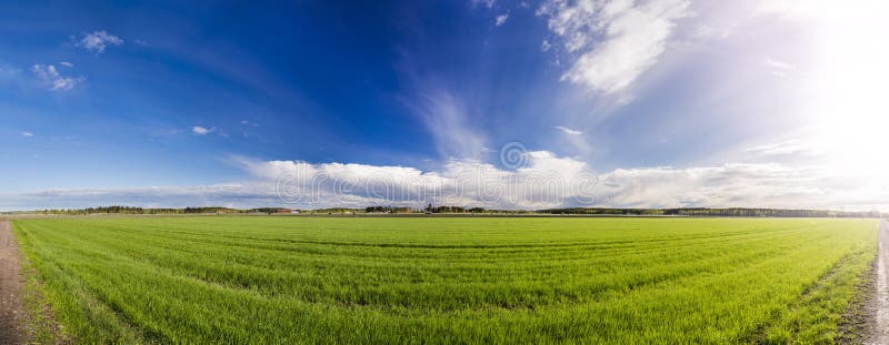 Field Panorama stock image. Image of landscape, meadow - 59333571