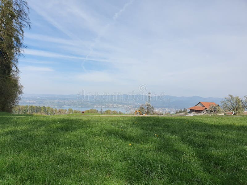 Field with panoramic view stock photo. Image of field - 183785134